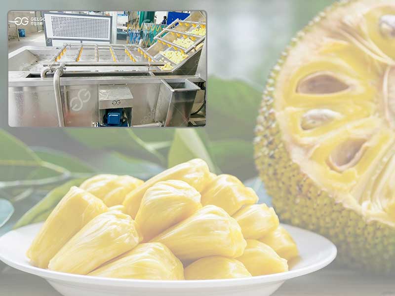 ¿CóMo Se Limpia Y Se Seca La Jaca?