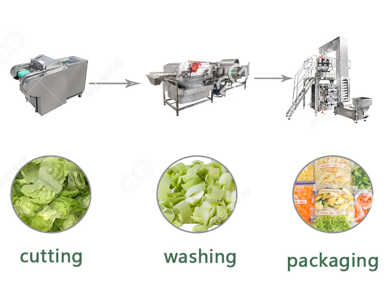 ¿Qué Equipo Se Necesita Para Procesar Verduras Frescas Cortadas?