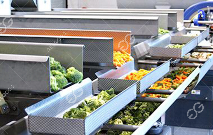 ¿Qué Es Un Ejemplo De Procesamiento De Vegetales?