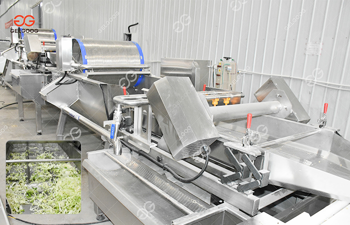 Lechugas Industriales Gobierno Visita Finca El Tempisque Que Trabaja