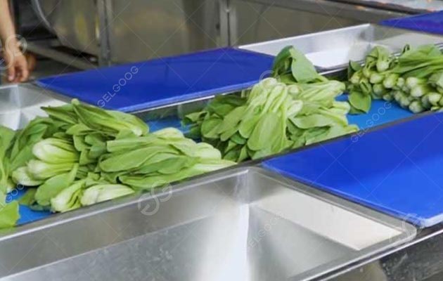 ¿Cuáles Son Los 4 Métodos Para Preparar Verduras Frescas En Fábrica?