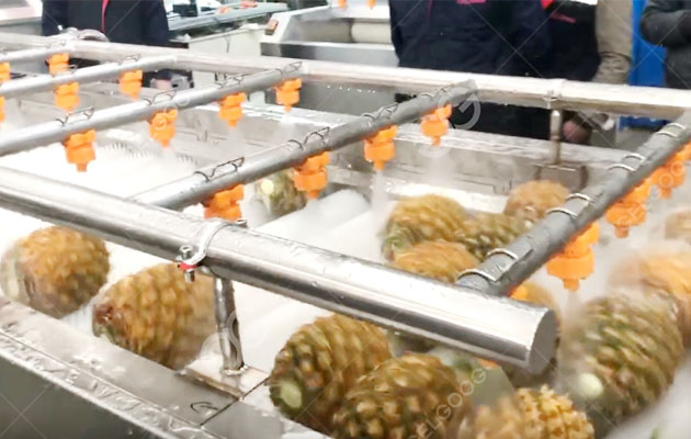 ¿Cómo Se Puede Procesar La Piña?