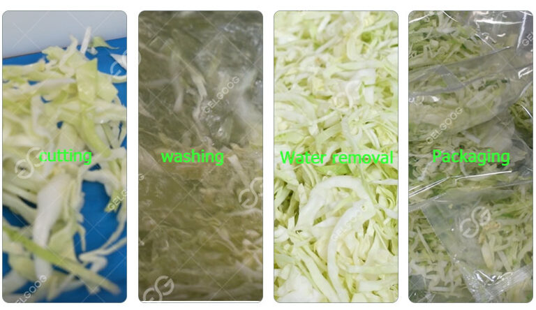 Línea De Corte, Lavado, Secado Y Envasado De Lechuga Iceberg